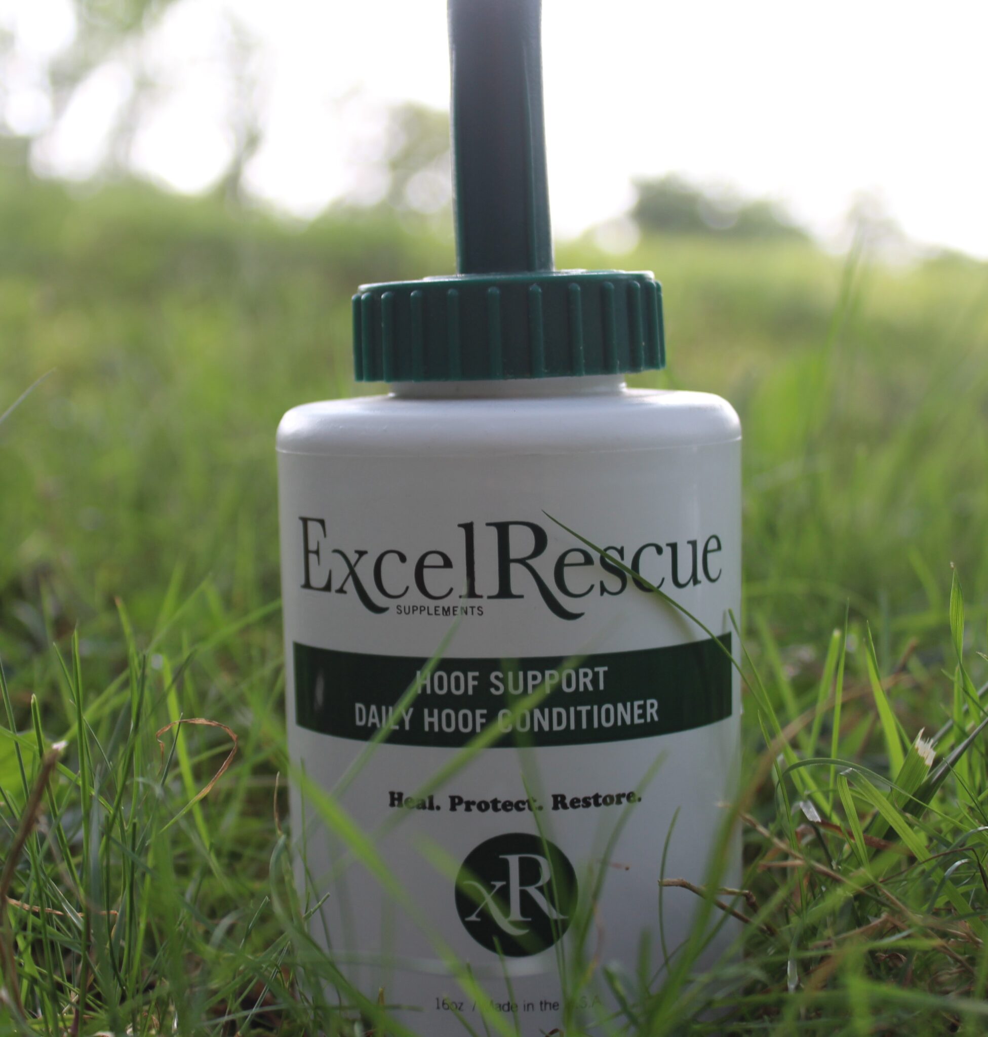 Excel Supplements – Licking Valley Veterinary Service